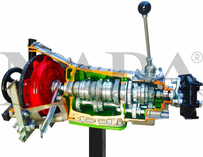 Transmission Cut-Away, 5 Speed + Reverse - NADA Scientific
